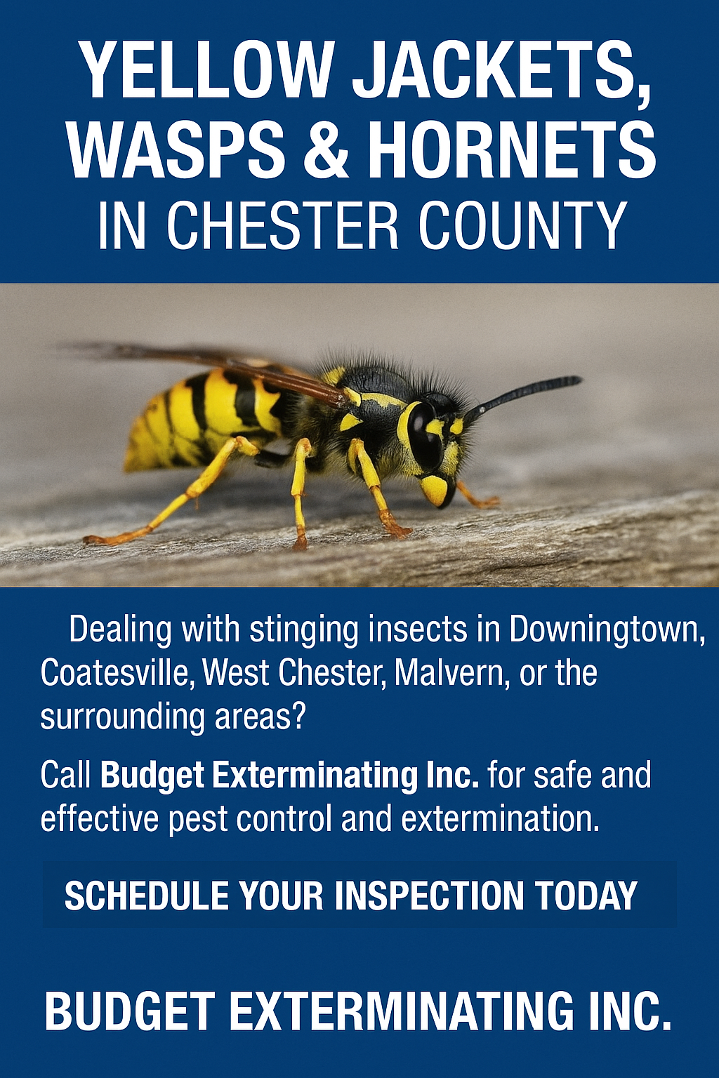 Yellow Jacket, Wasp & Hornet Extermination | Chester County Pest Control